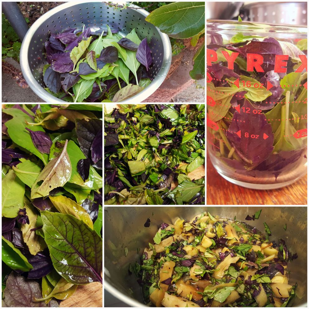 Basil Jelly – Mostly Greek