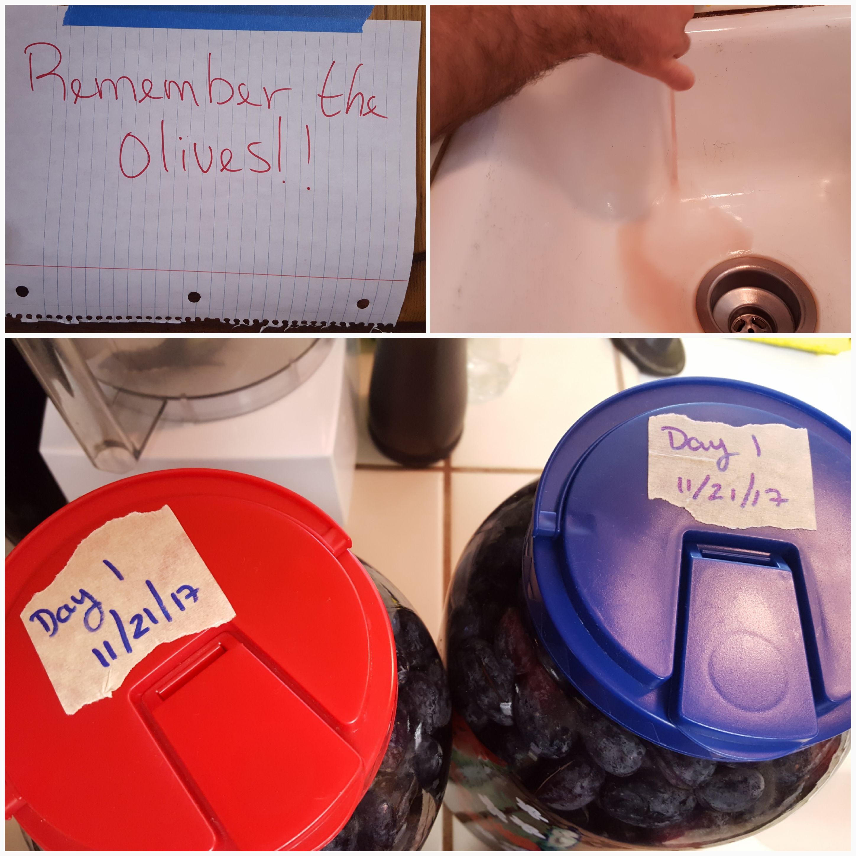 Kalamata-Style Home Cured Olives – Mostly Greek