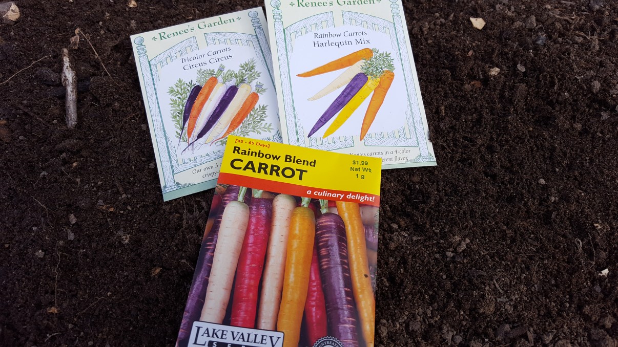 Carrots (Daucus carota subsp. sativus) – Mostly Greek