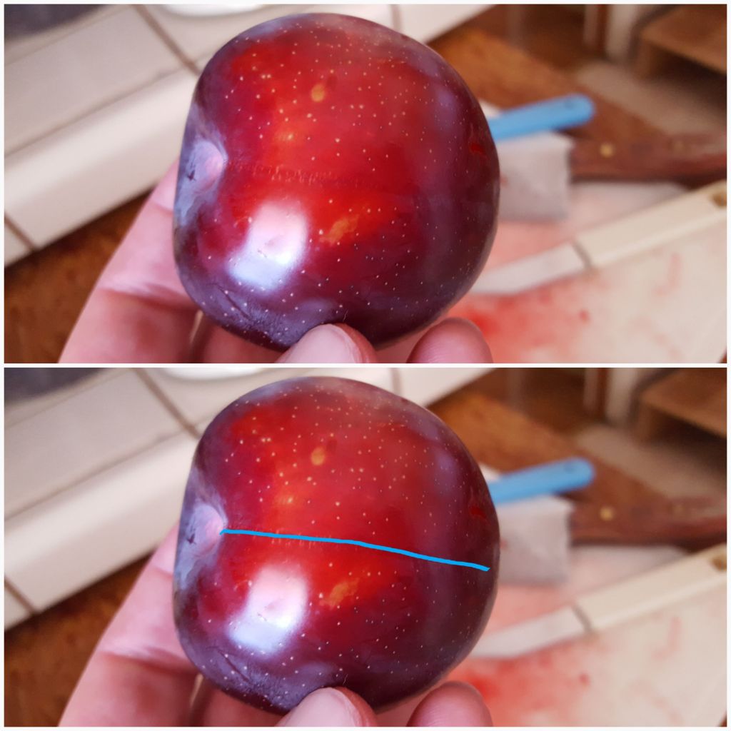 Pitting Plums (and Keeping Fingers) – Mostly Greek