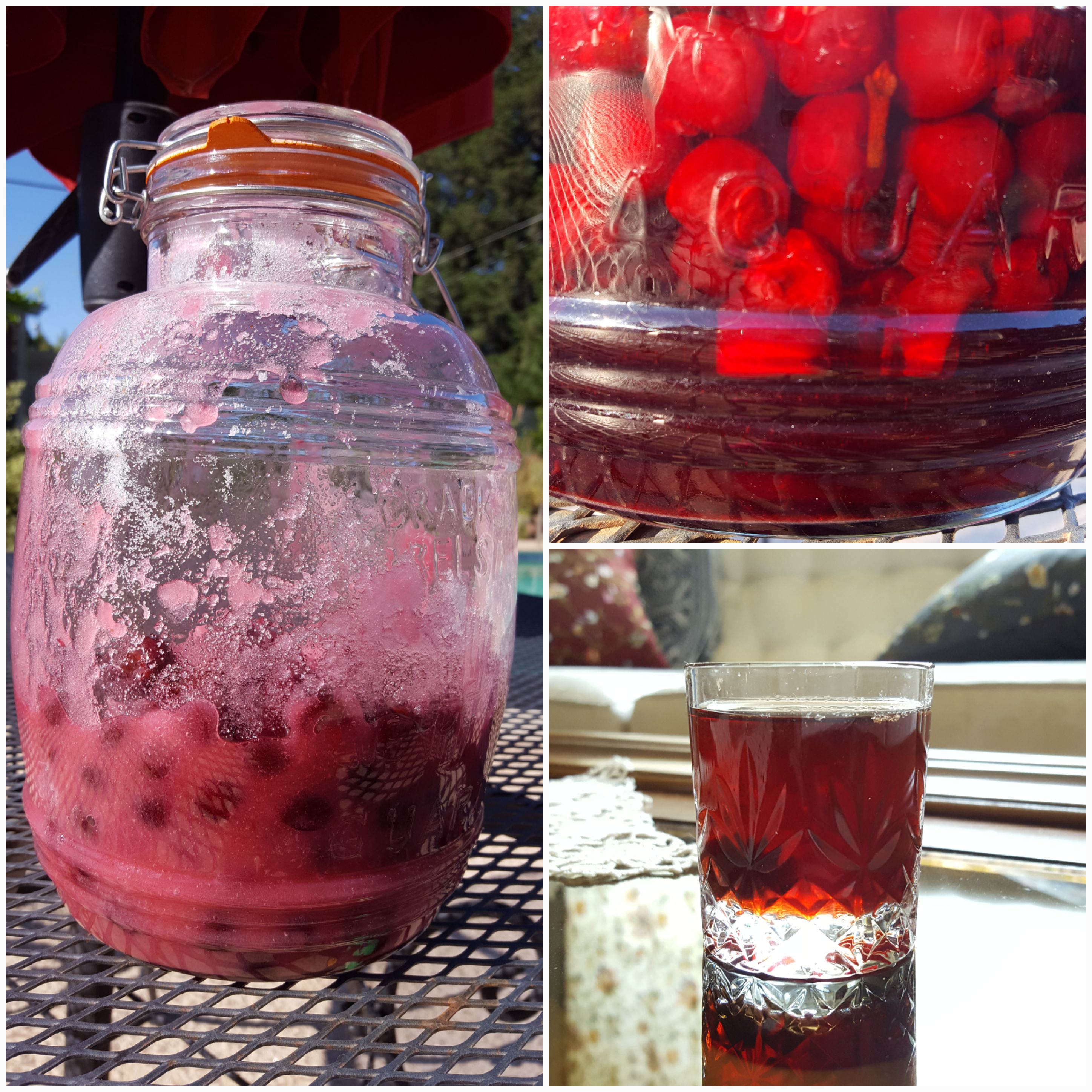 Greek Sour Cherry Brandy – Mostly Greek