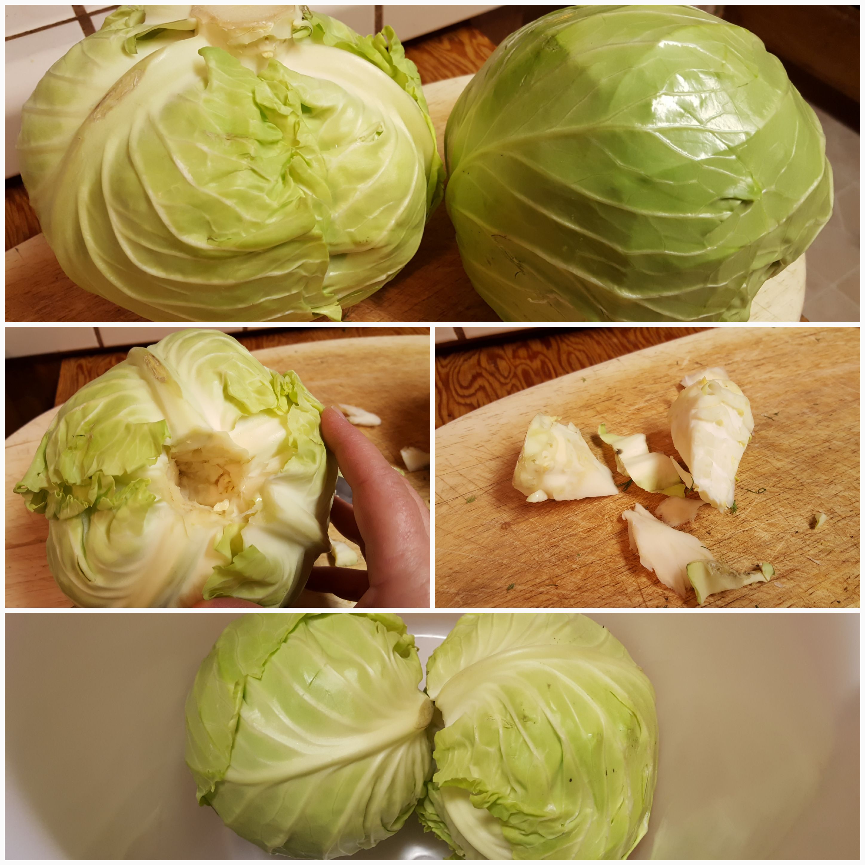 Fermented Whole Cabbage Heads – Mostly Greek