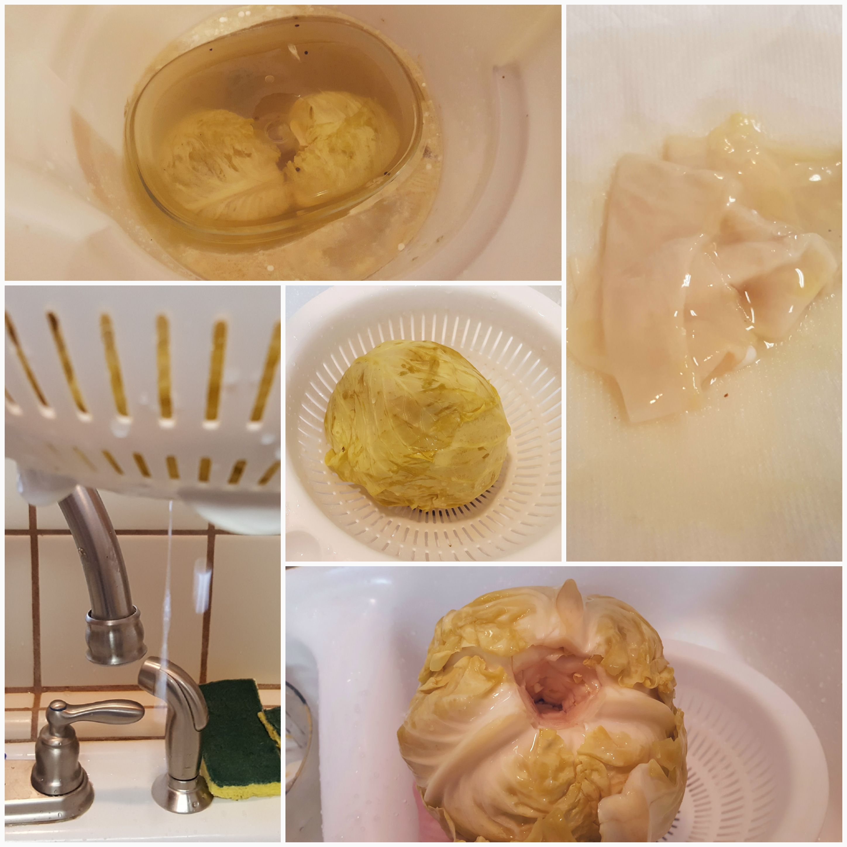 Fermented Whole Cabbage Heads – Mostly Greek