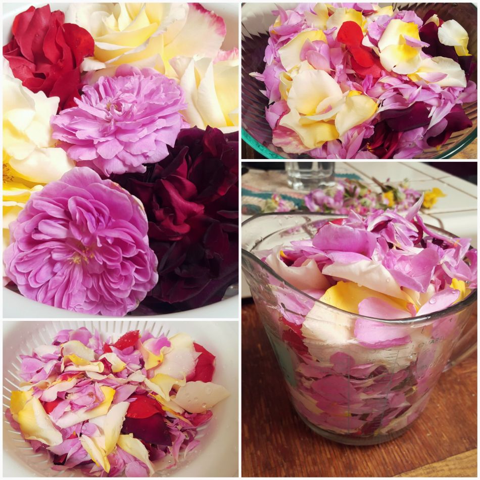 Rose Cordial & Candied Rose Petals – Mostly Greek