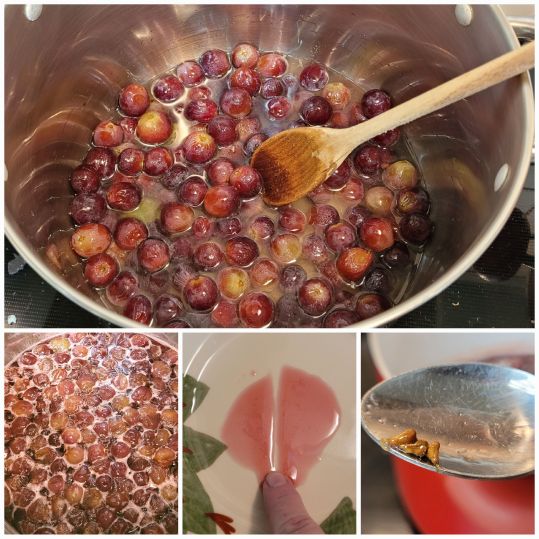 Greek Grape “Spoon Sweet” – Mostly Greek