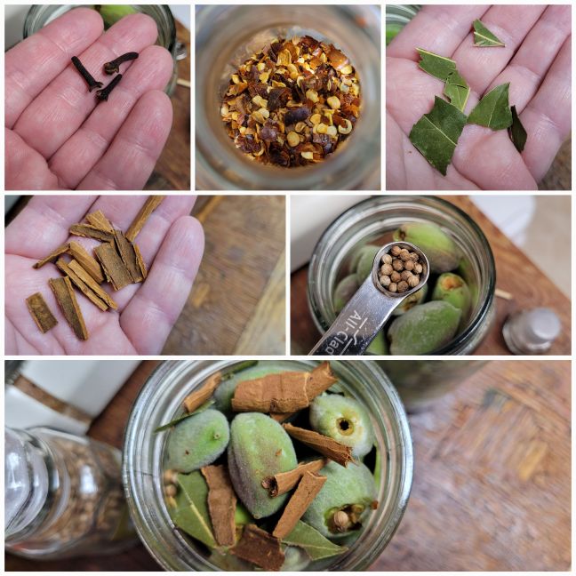 Pickled Green Almonds – Mostly Greek